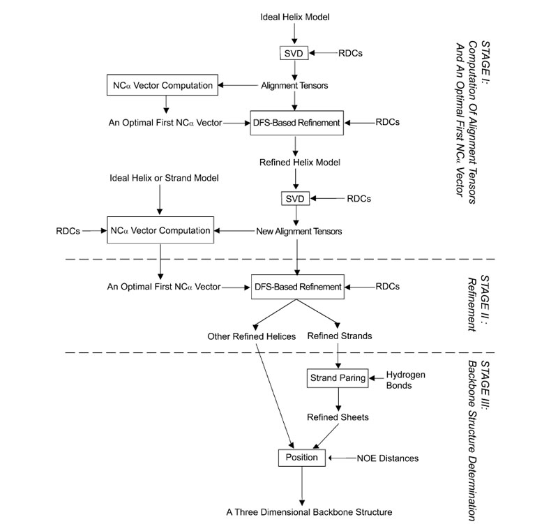 Lincong Wang: Exact Solutions for Internuclear Vectors from NH Residual ...